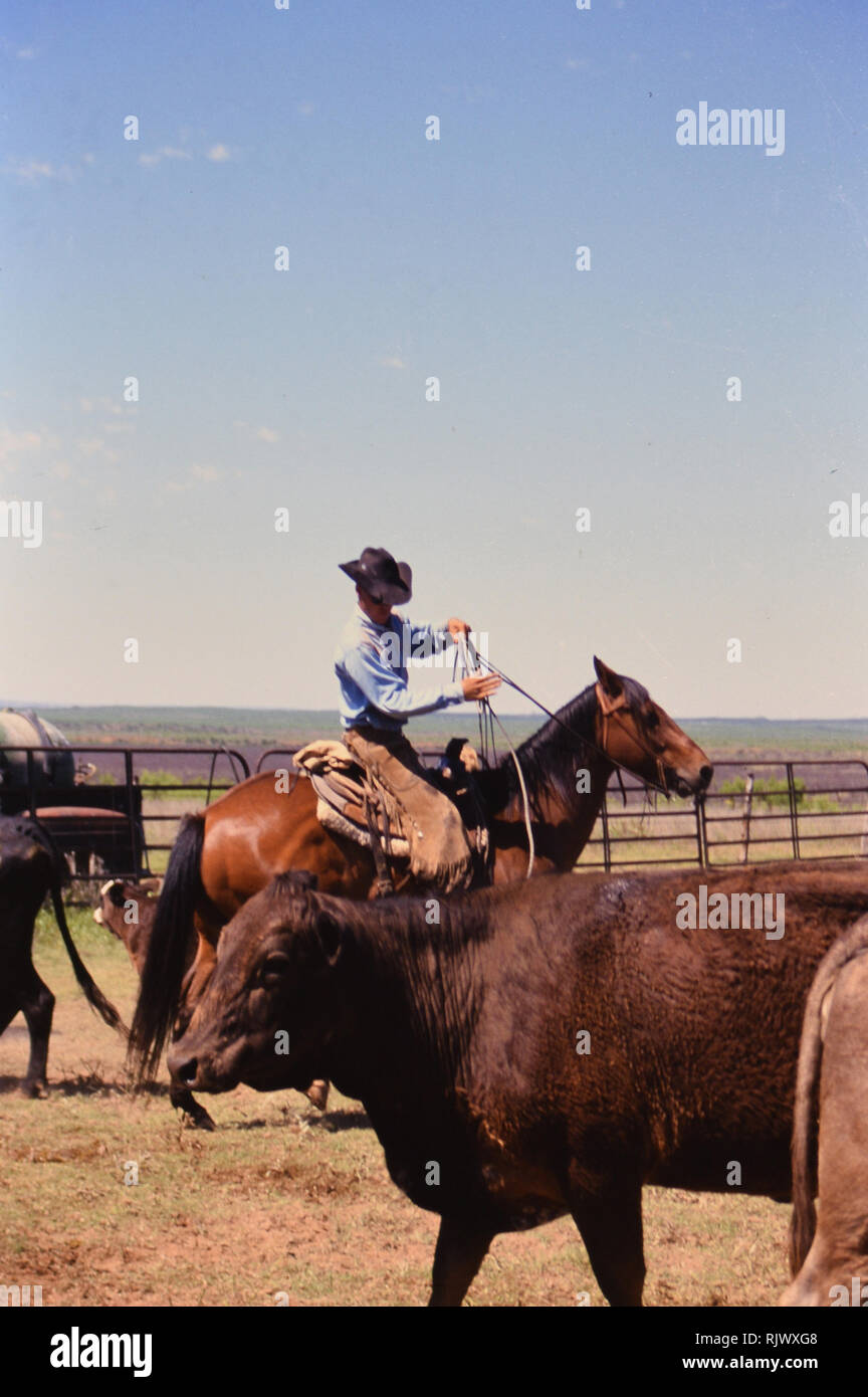 American Cowboys: 1990s Cowboys in the American west during spring ...