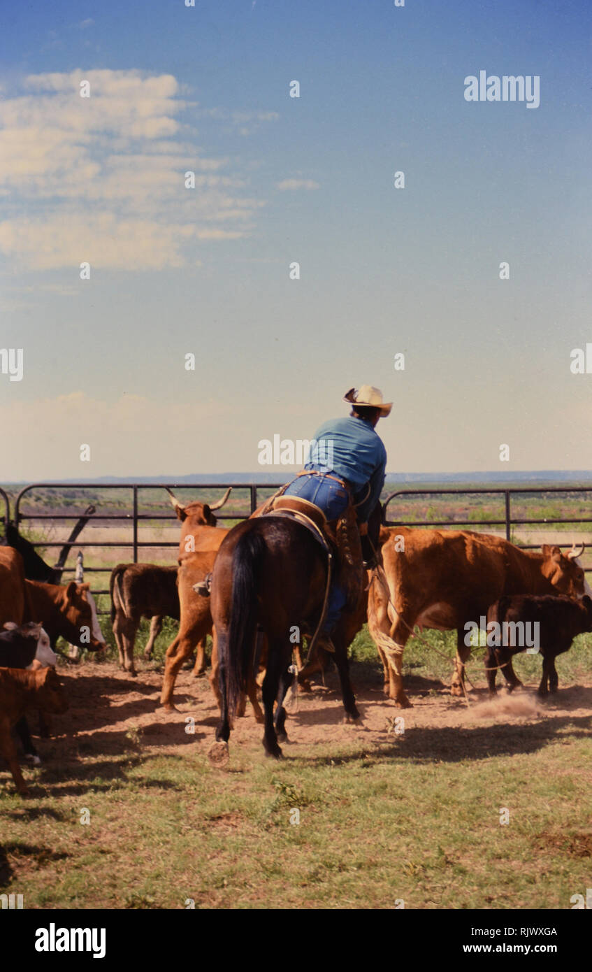 Real texan cowboys hi-res stock photography and images - Alamy