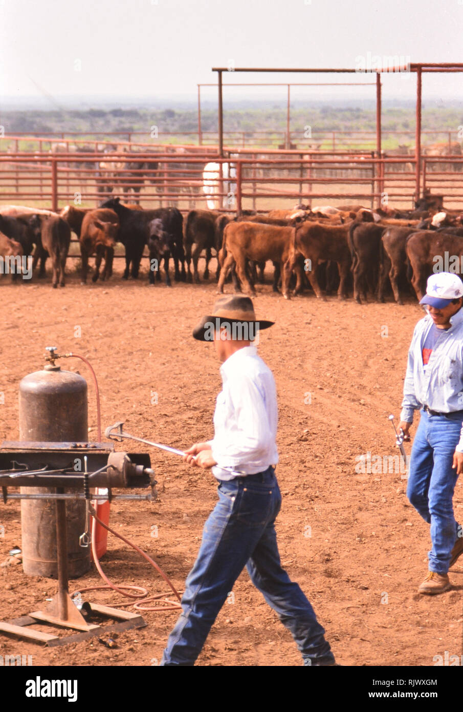 Texas ranch 1990s hi-res stock photography and images - Alamy