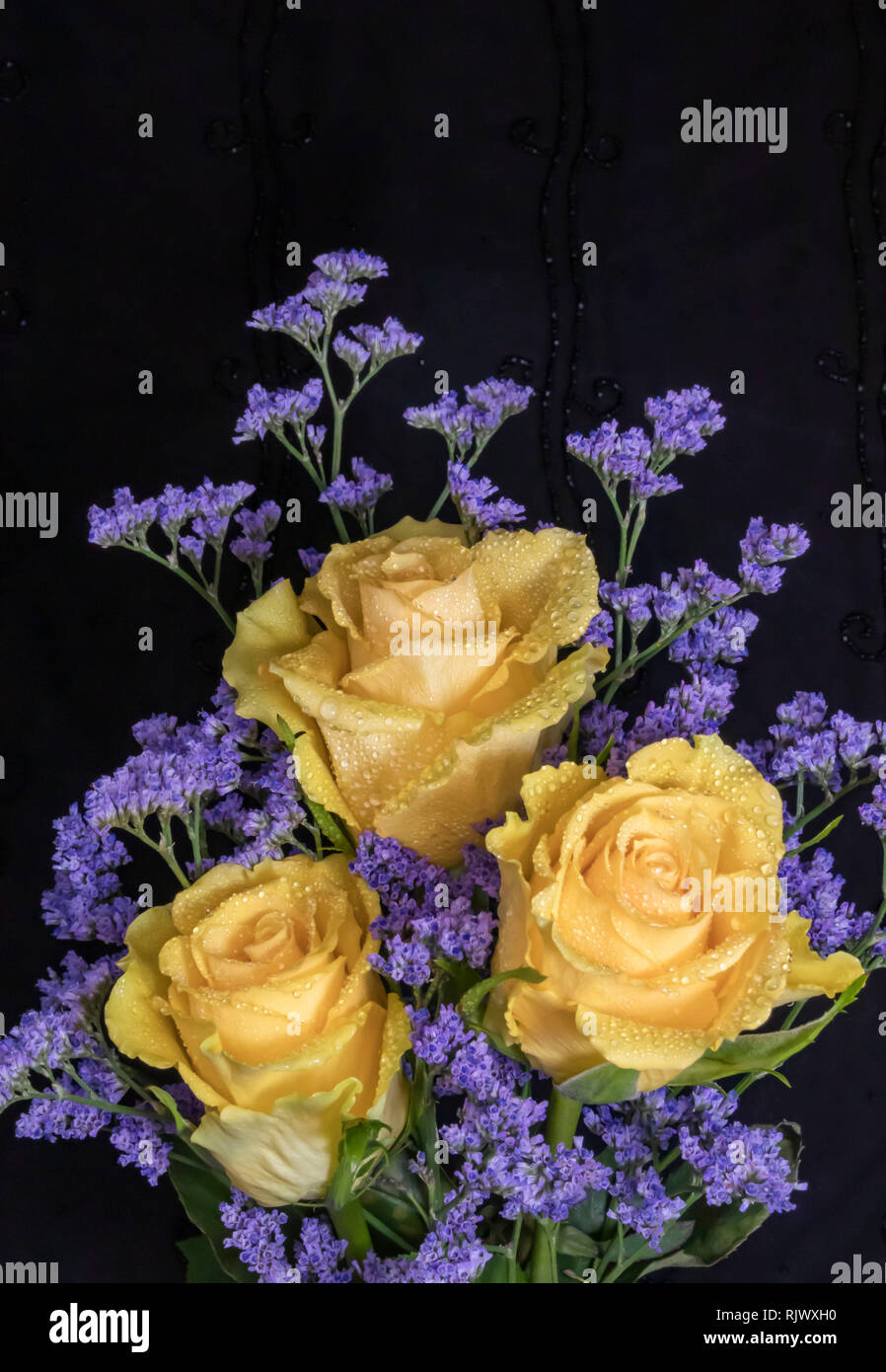 Three Yellow Roses with Statice & Dew Stock Photo - Alamy