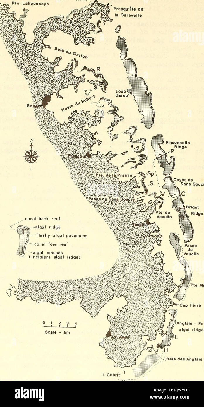 . Atoll research bulletin. Coral reefs and islands; Marine biology ...
