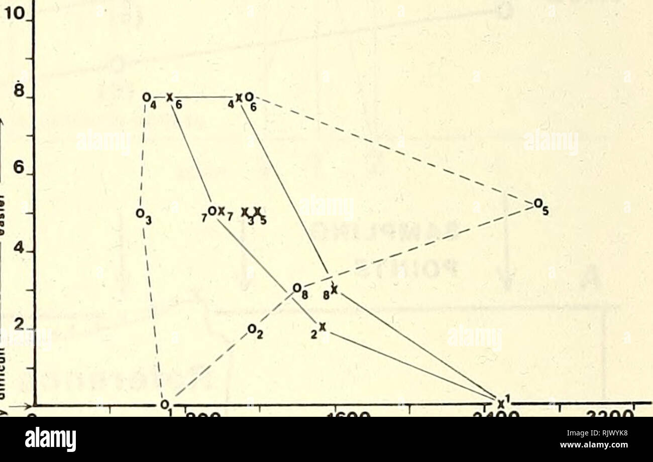 Roa Fish High Resolution Stock Photography and Images - Alamy