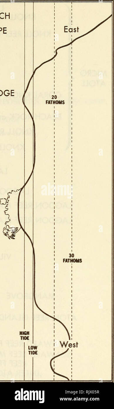 . Atoll research bulletin. Coral reefs and islands; Marine biology ...