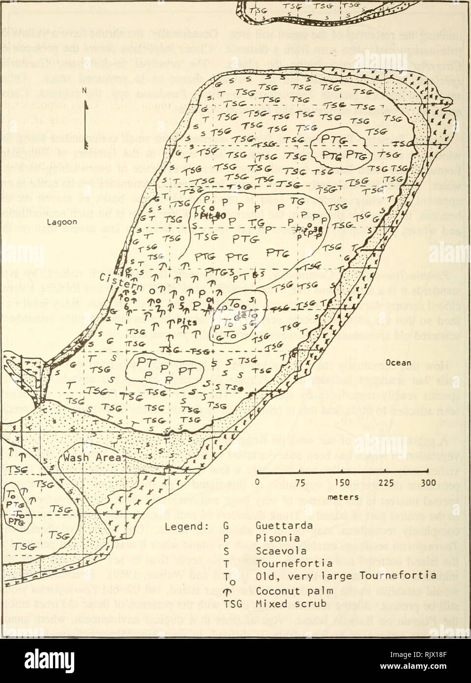 Rongelap atoll hi-res stock photography and images - Alamy