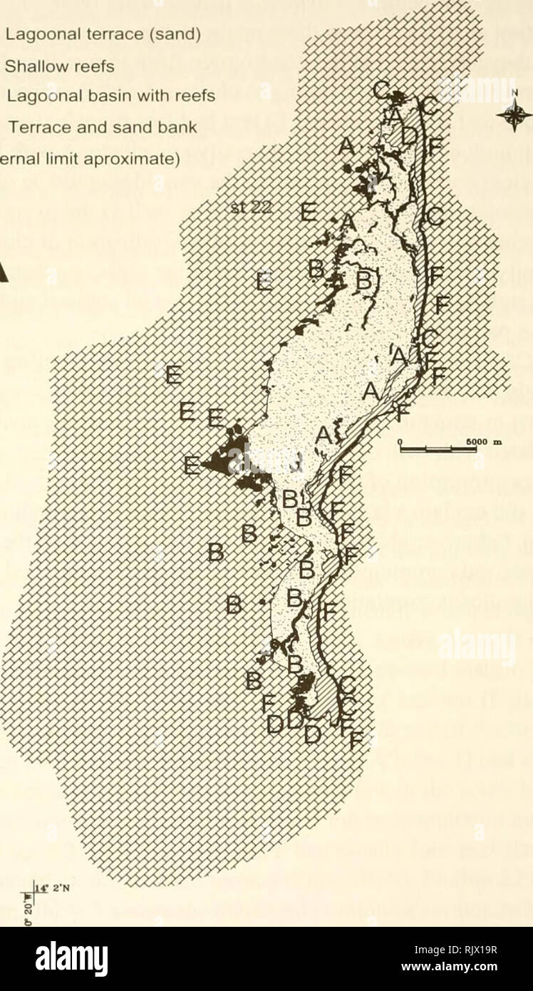 Fore reef terrace hi-res stock photography and images - Alamy