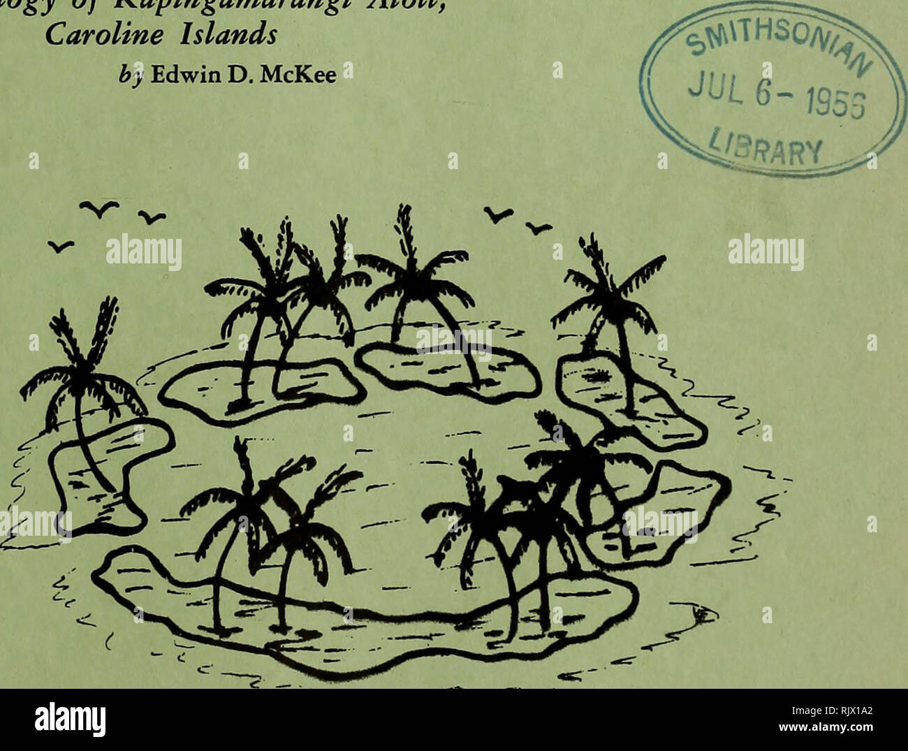 Kapingamarangi atoll hi-res stock photography and images - Alamy