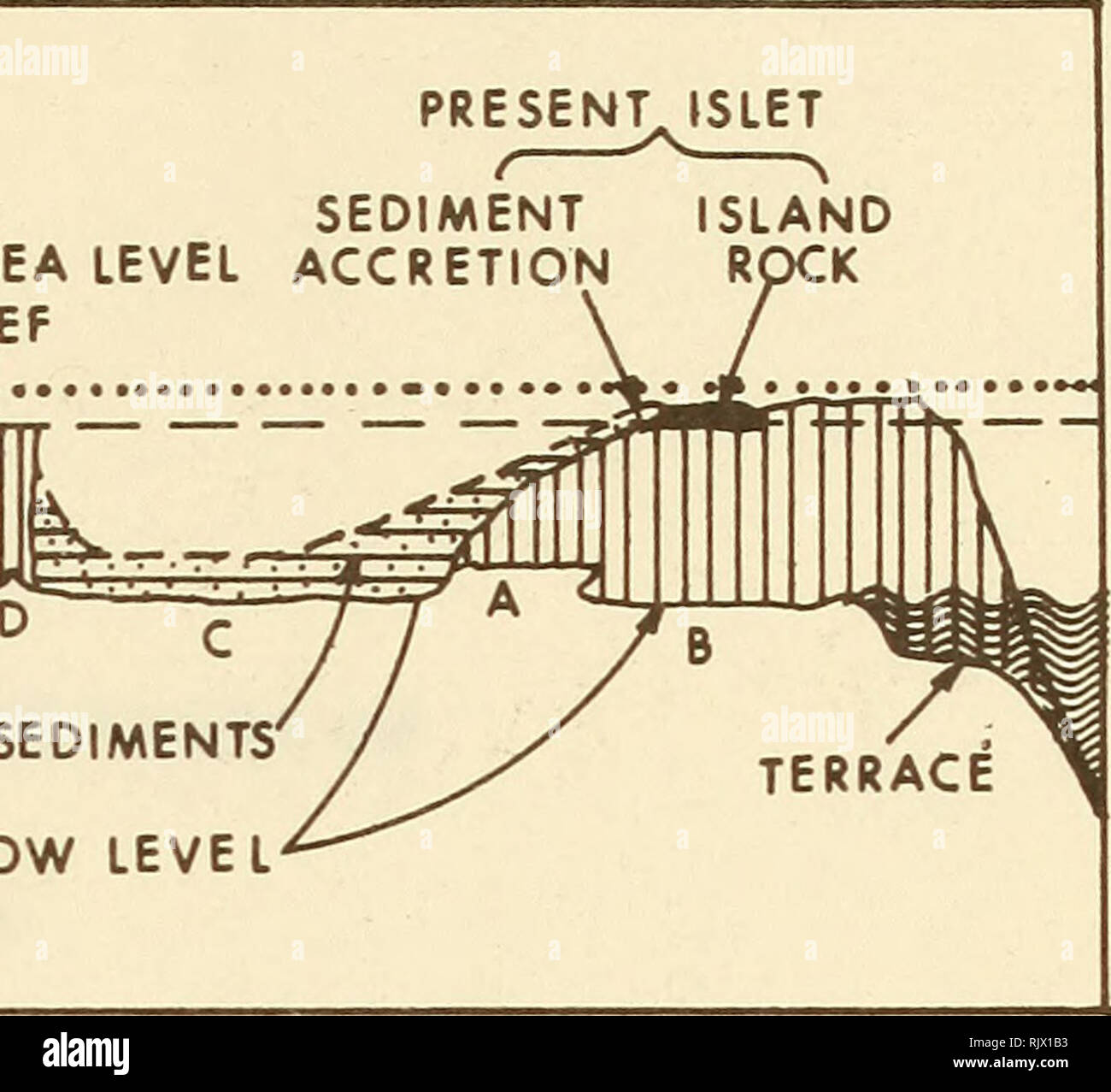 . Atoll research bulletin. Coral reefs and islands; Marine biology ...