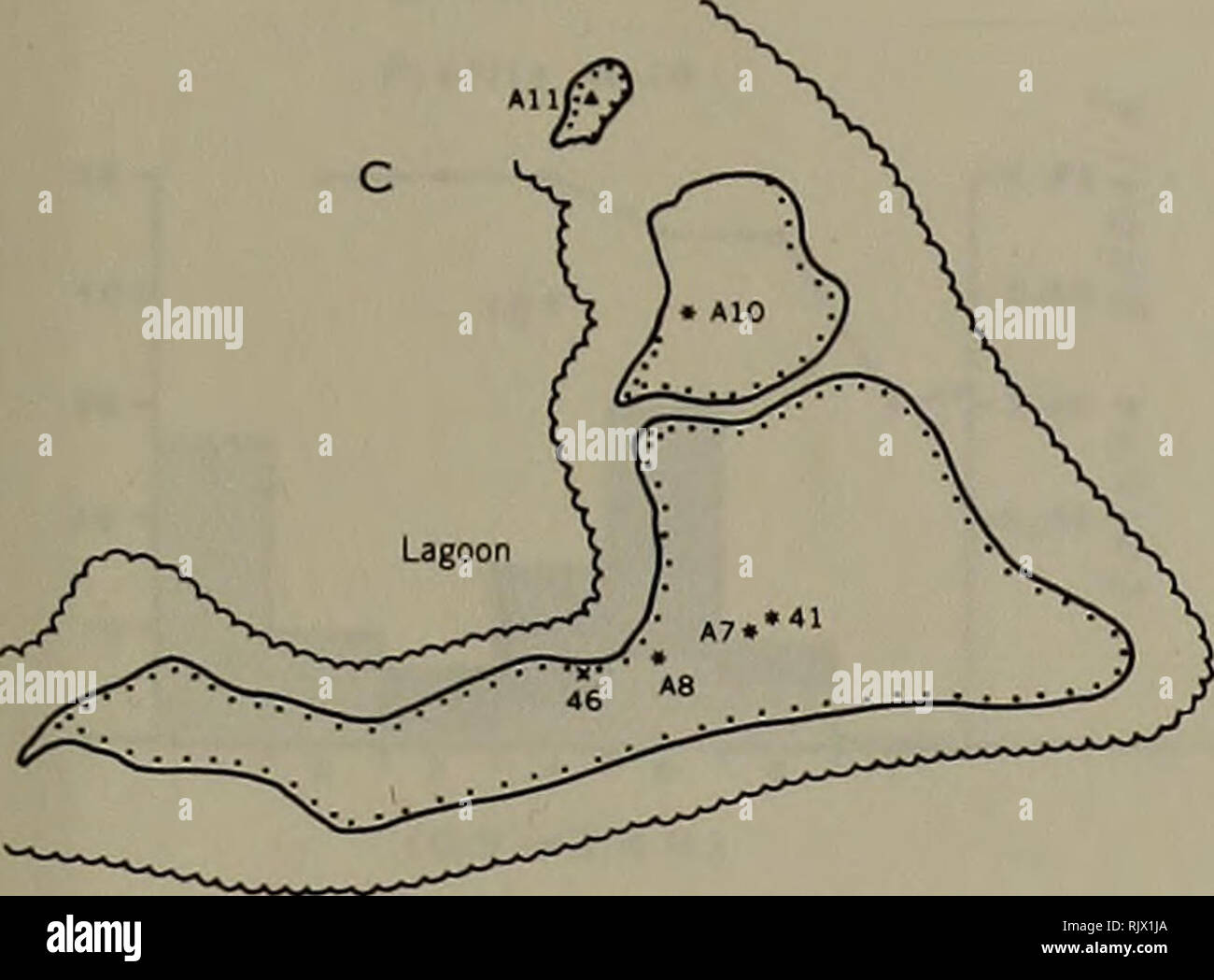 Ailuk hi-res stock photography and images - Alamy