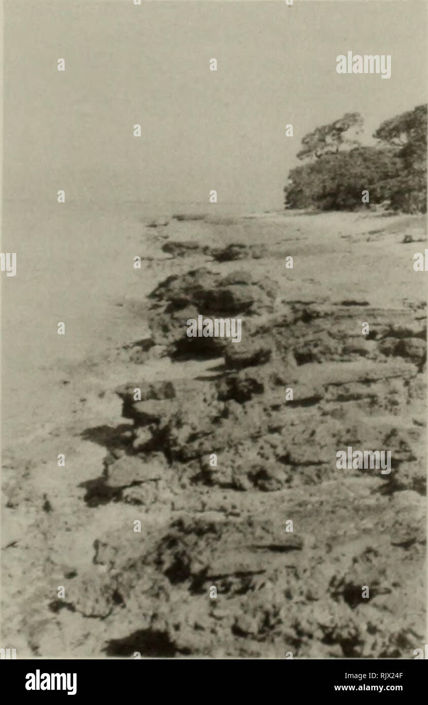 Ducie and oeno islands hi-res stock photography and images - Alamy