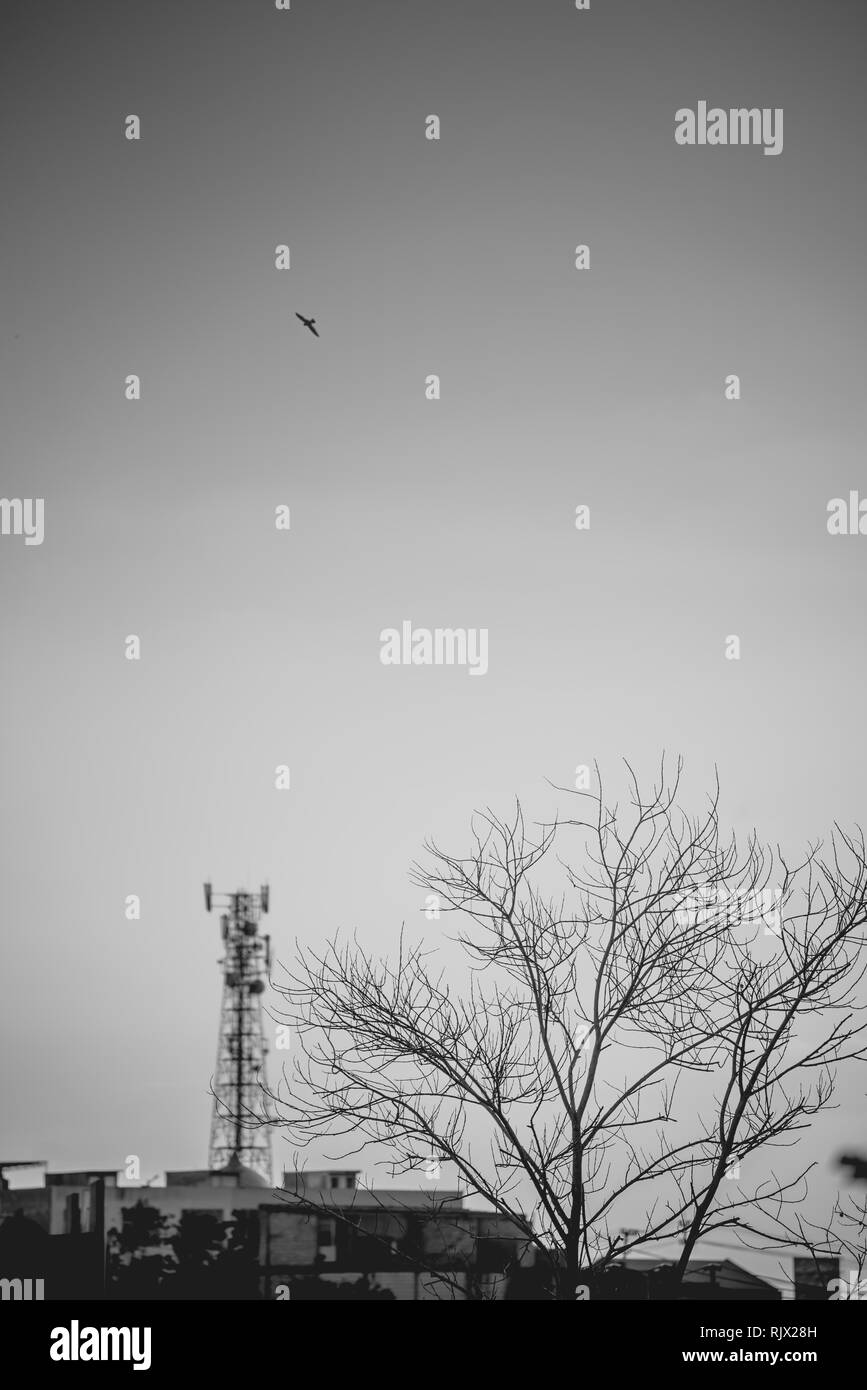 Pity hi-res stock photography and images - Alamy