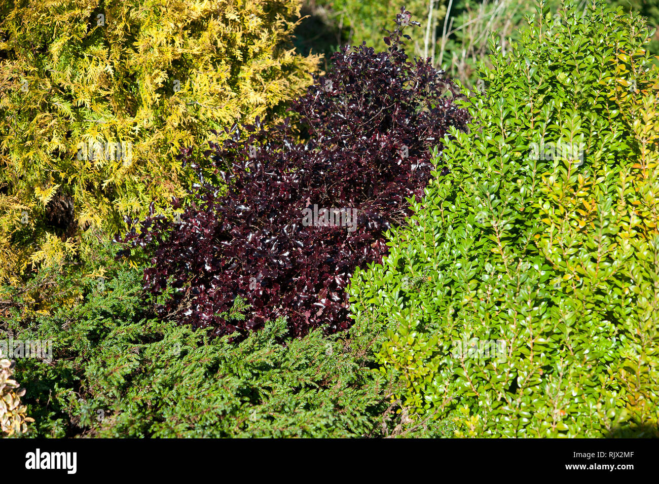 Bunclody, Wexford, Ireland, Europe Stock Photo - Alamy