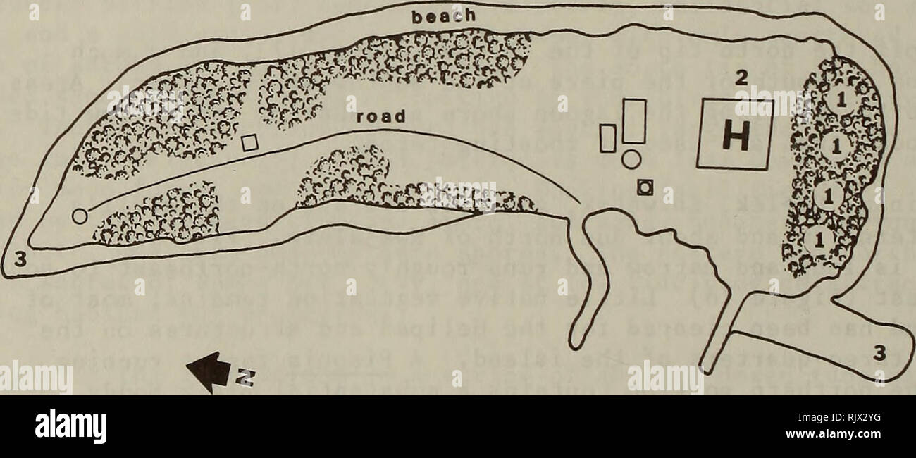 Roi namur island hi-res stock photography and images - Alamy