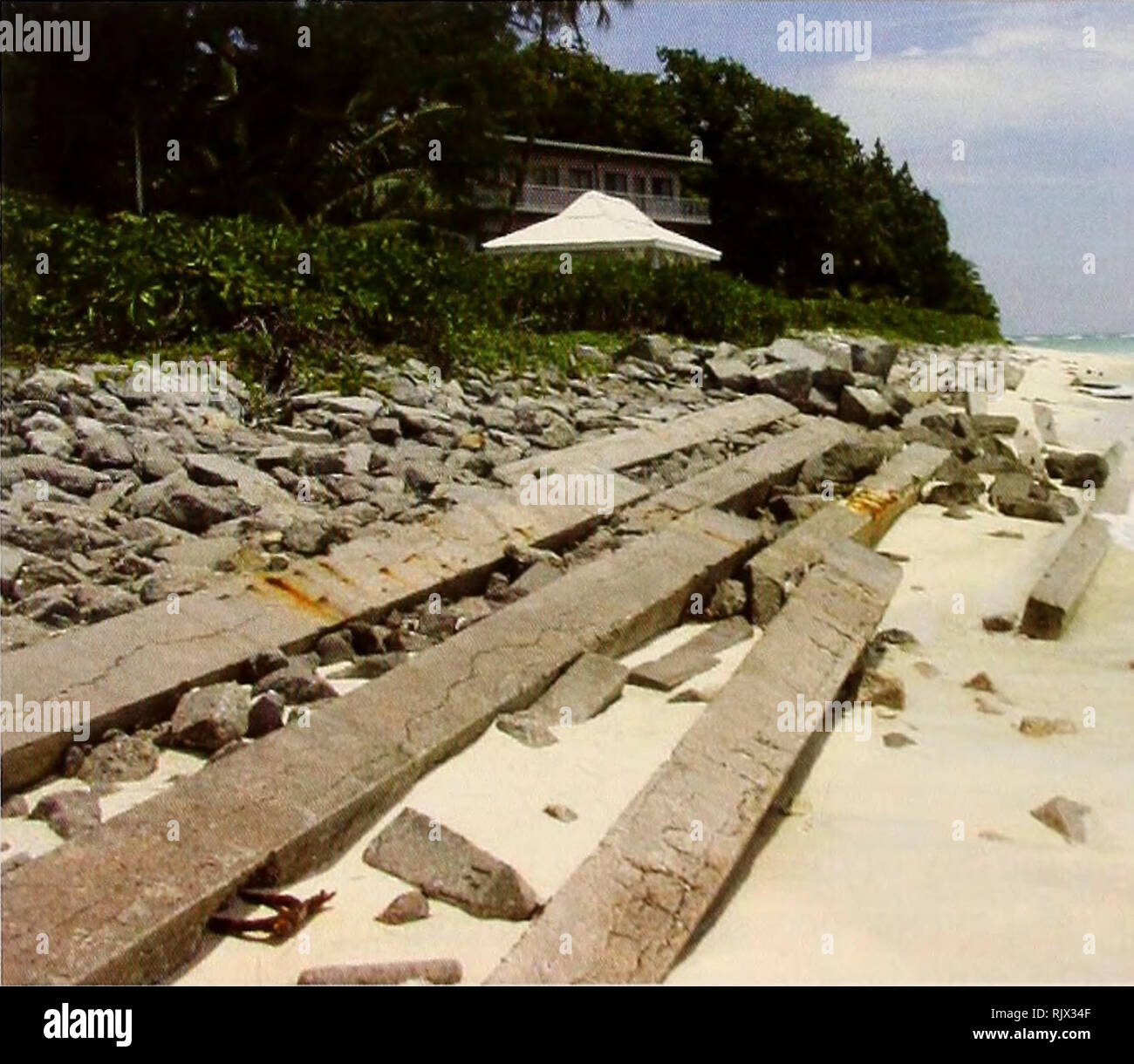 . Atoll research bulletin. Coral reefs and islands; Marine biology ...