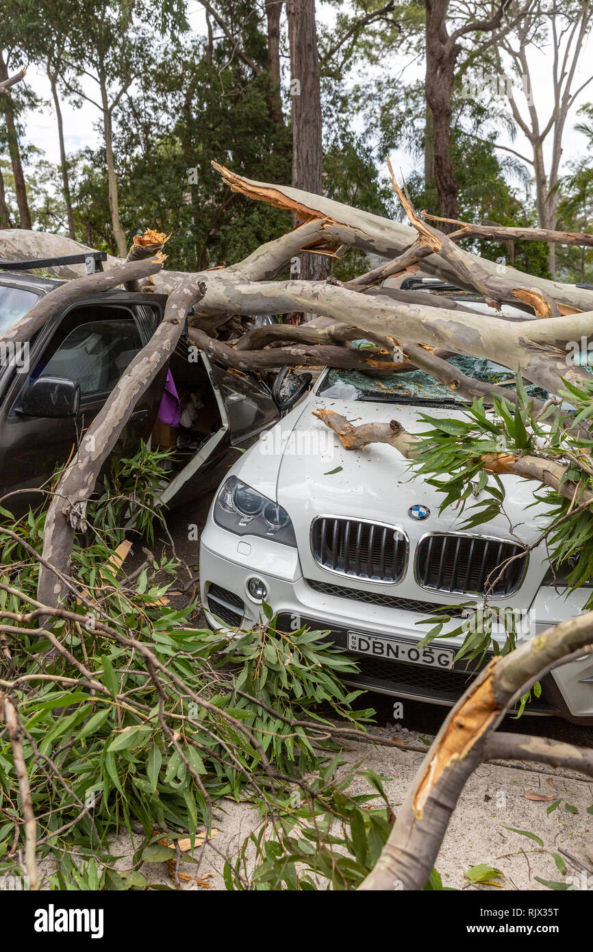 Damages environment hi-res stock photography and images - Alamy