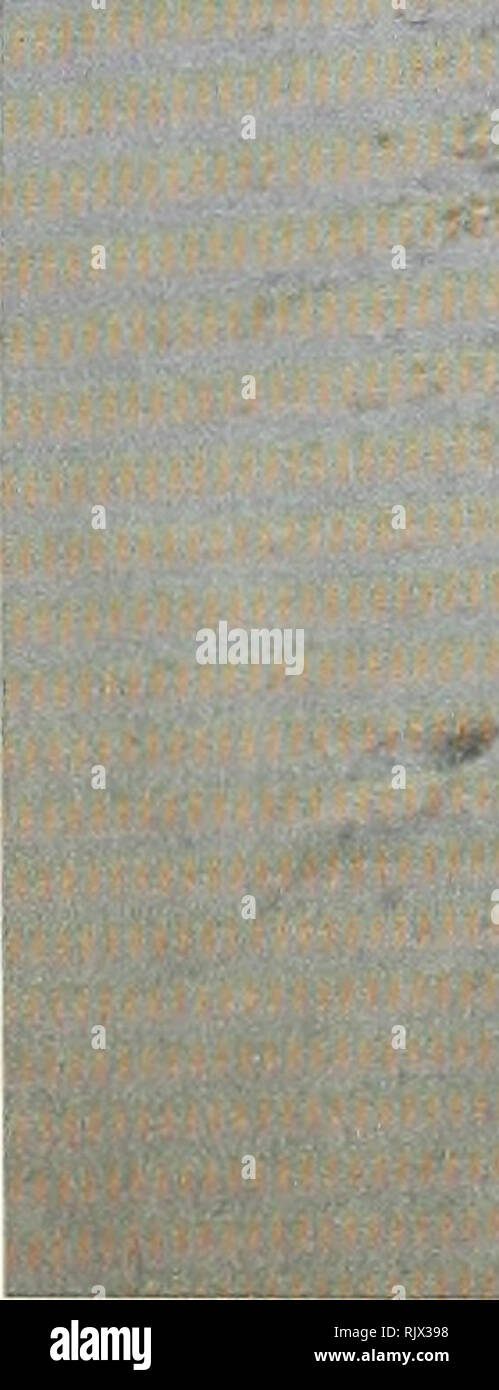 . Atoll research bulletin. Coral reefs and islands; Marine biology ...