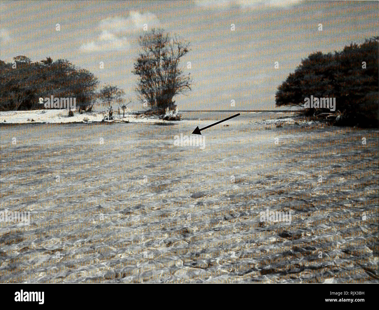 Tombolo museum hi-res stock photography and images - Alamy