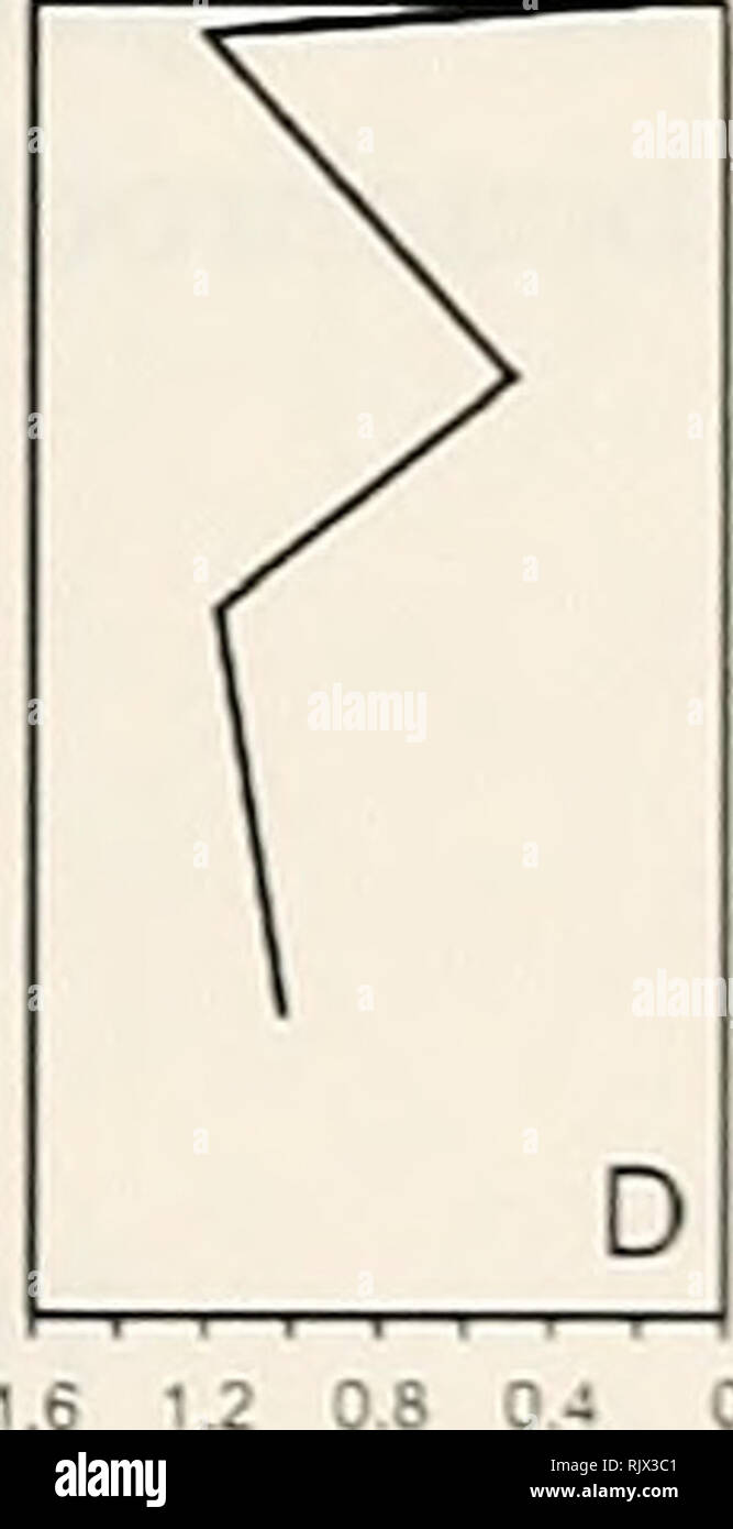 Tabular cross bedding hi-res stock photography and images - Alamy