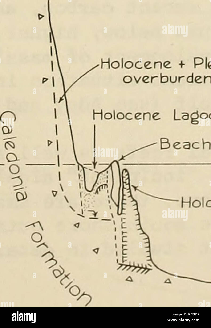 . Atoll research bulletin. Coral reefs and islands; Marine biology ...