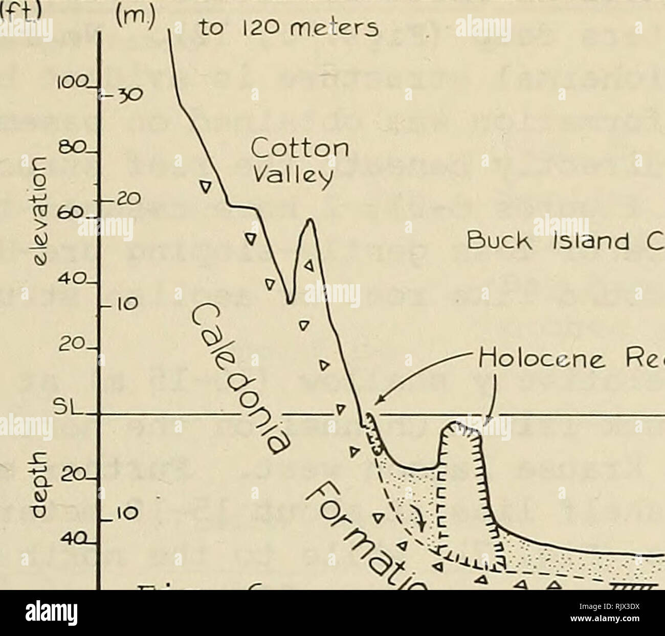 . Atoll research bulletin. Coral reefs and islands; Marine biology ...