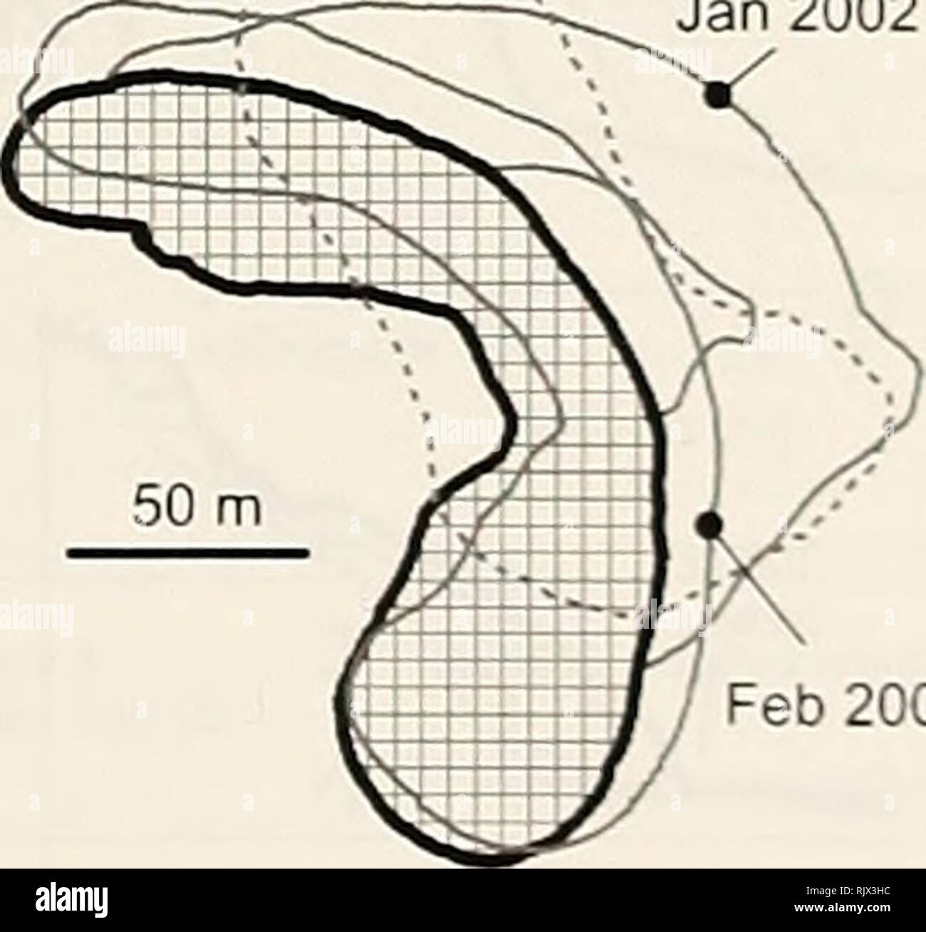 . Atoll research bulletin. Coral reefs and islands; Marine biology ...