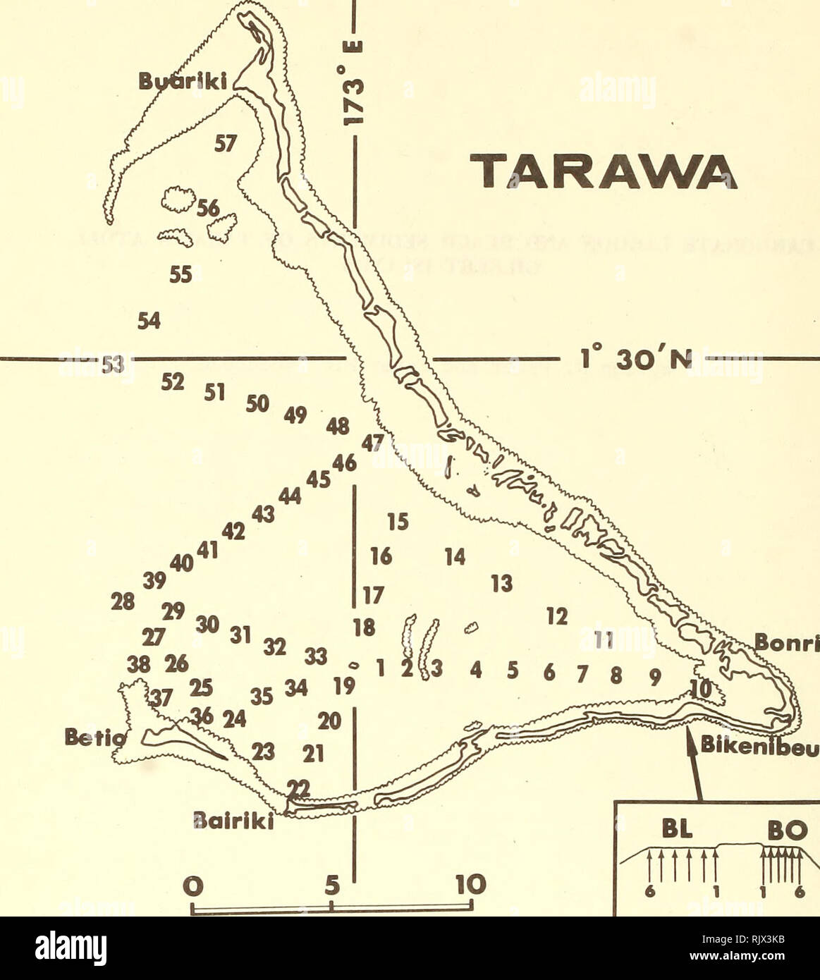 . Atoll research bulletin. Coral reefs and islands; Marine biology ...