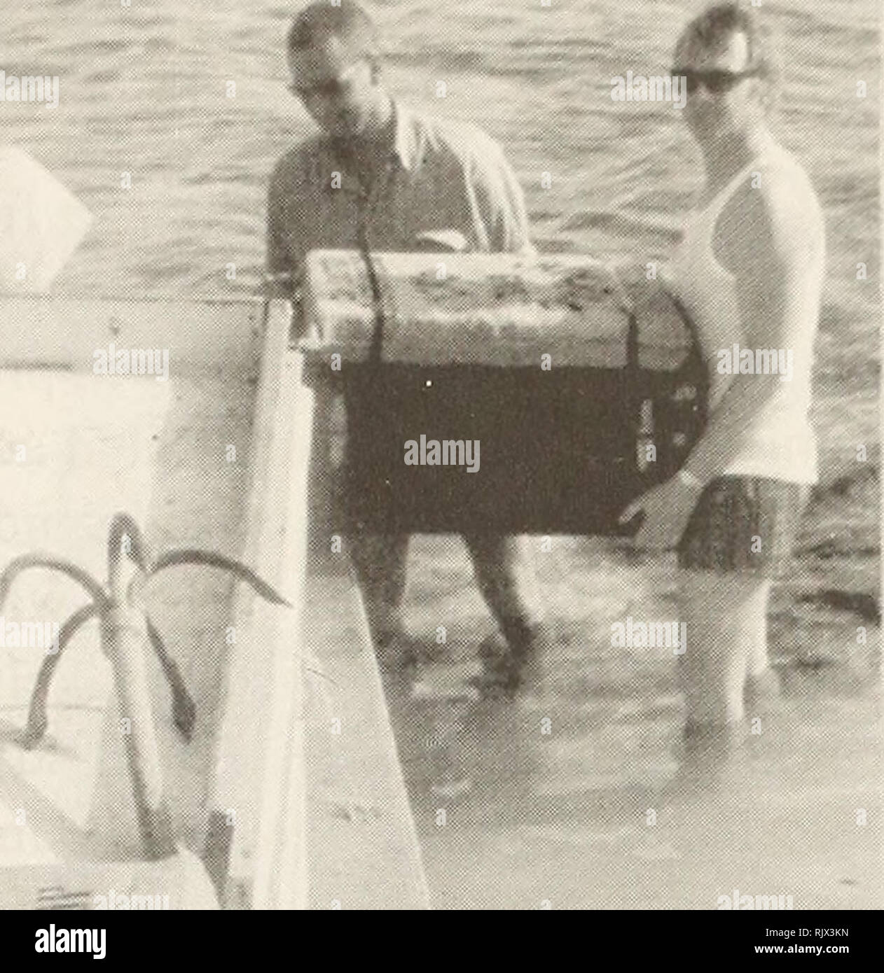 . Atoll research bulletin. Coral reefs and islands; Marine biology ...