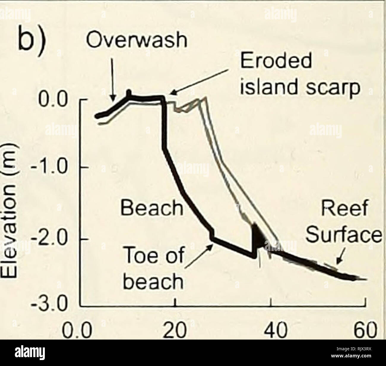 . Atoll research bulletin. Coral reefs and islands; Marine biology ...
