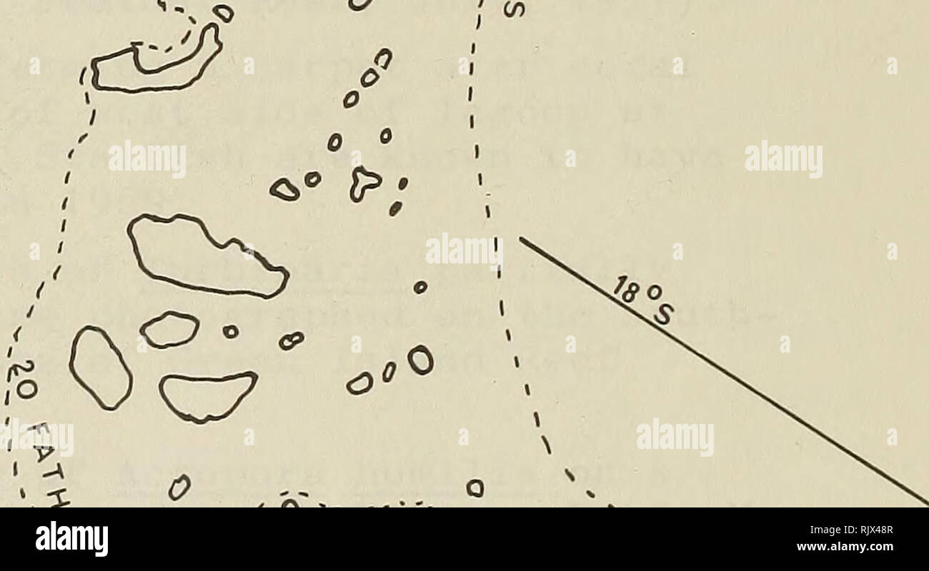 Ellison reef hi-res stock photography and images - Alamy