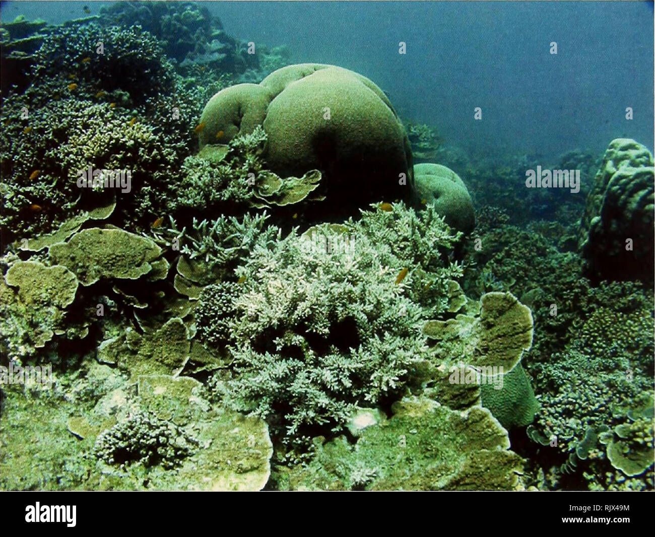 Tsunami monitoring hi-res stock photography and images - Alamy