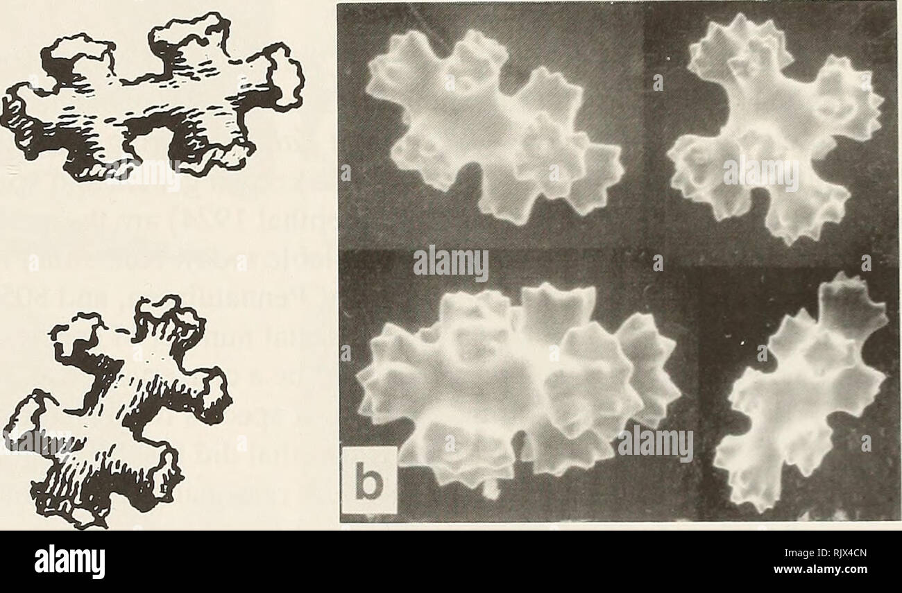 . Atoll research bulletin. Coral reefs and islands; Marine biology ...