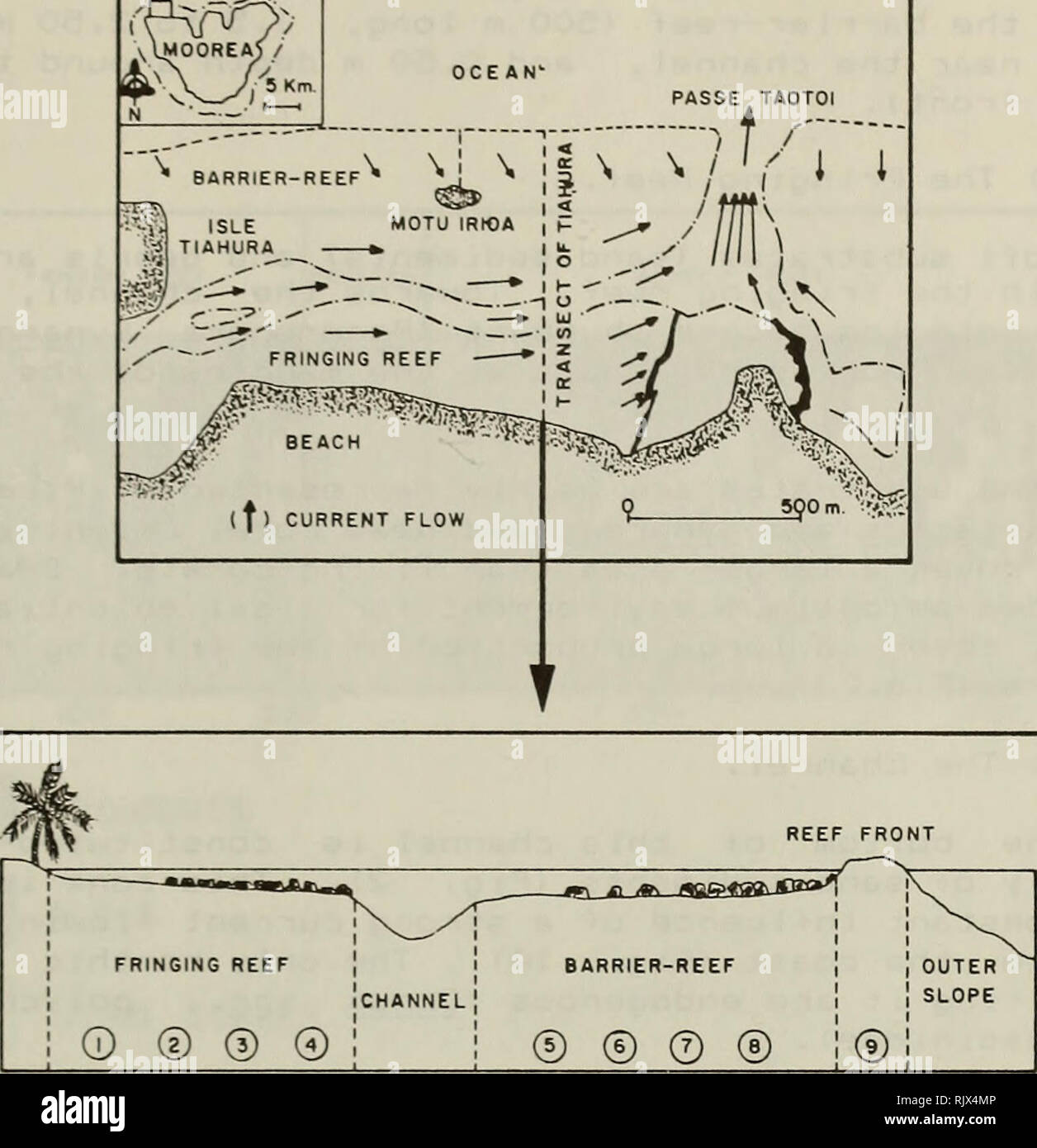 Transect sampling hi-res stock photography and images - Alamy