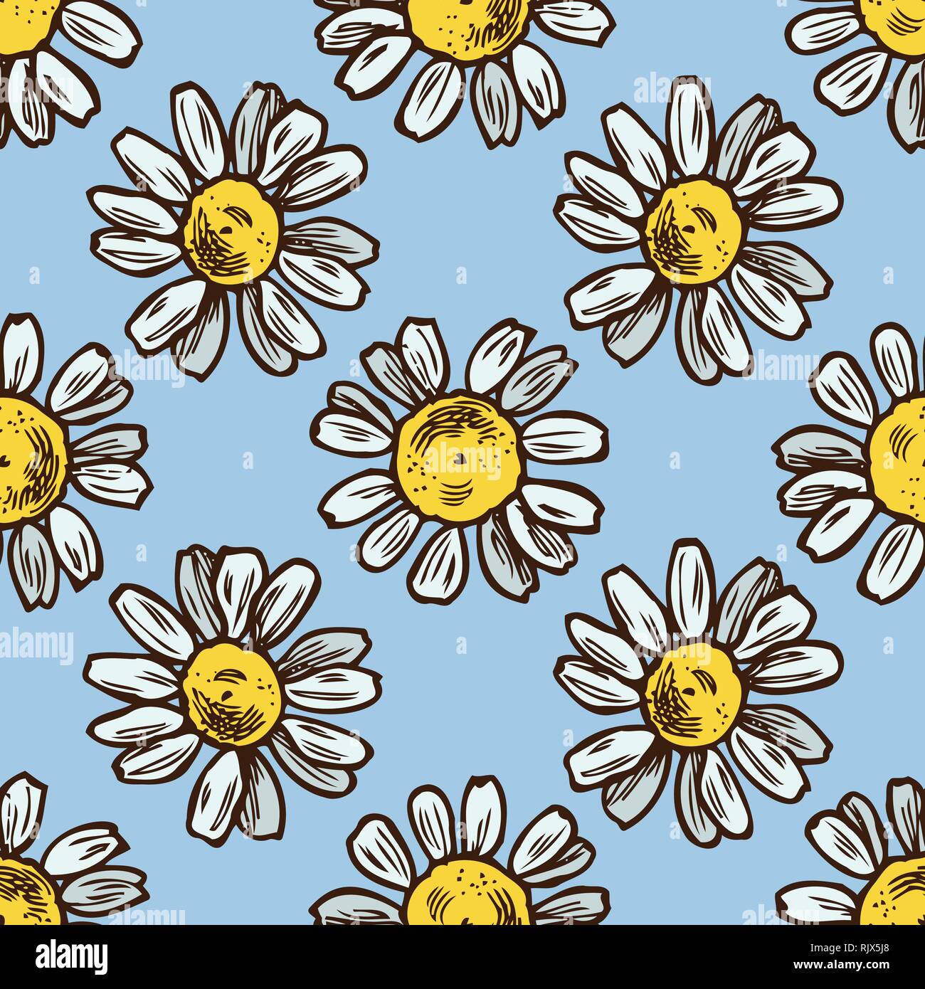 Seamless pattern with hand drawn colored chamomile Stock Vector Image ...