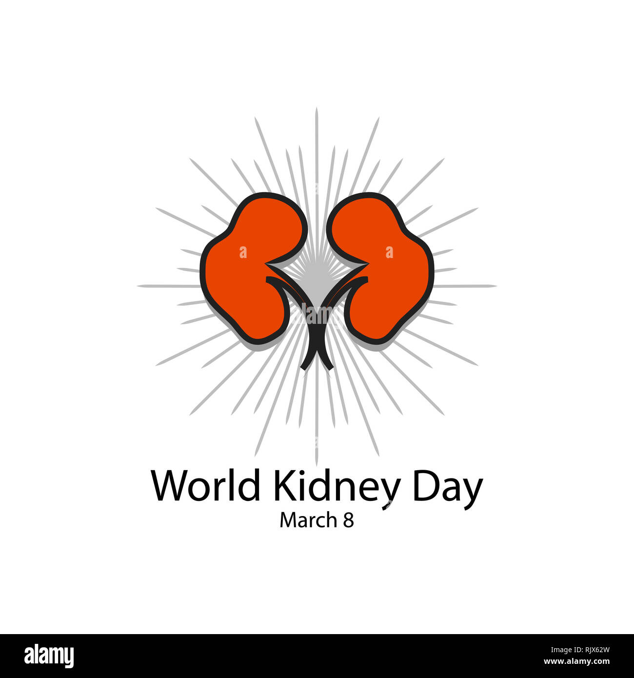 World kidney day medical hi-res stock photography and images - Alamy