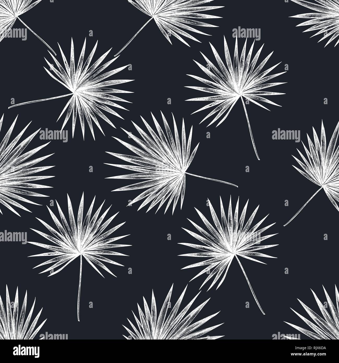 Seamless pattern with hand drawn chalk trachycarpus Stock Vector Image ...