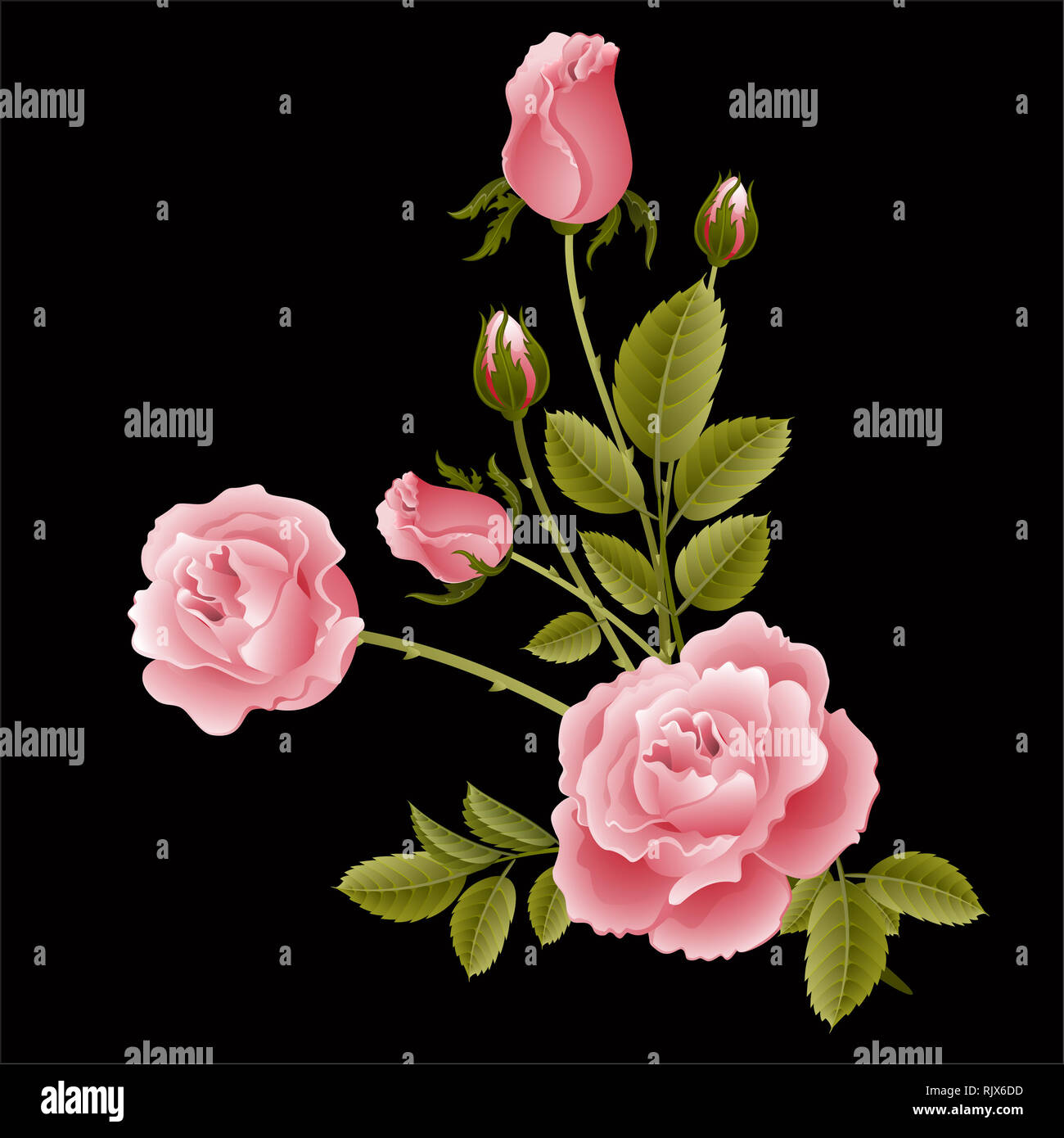 Vector floral designs hi-res stock photography and images - Alamy