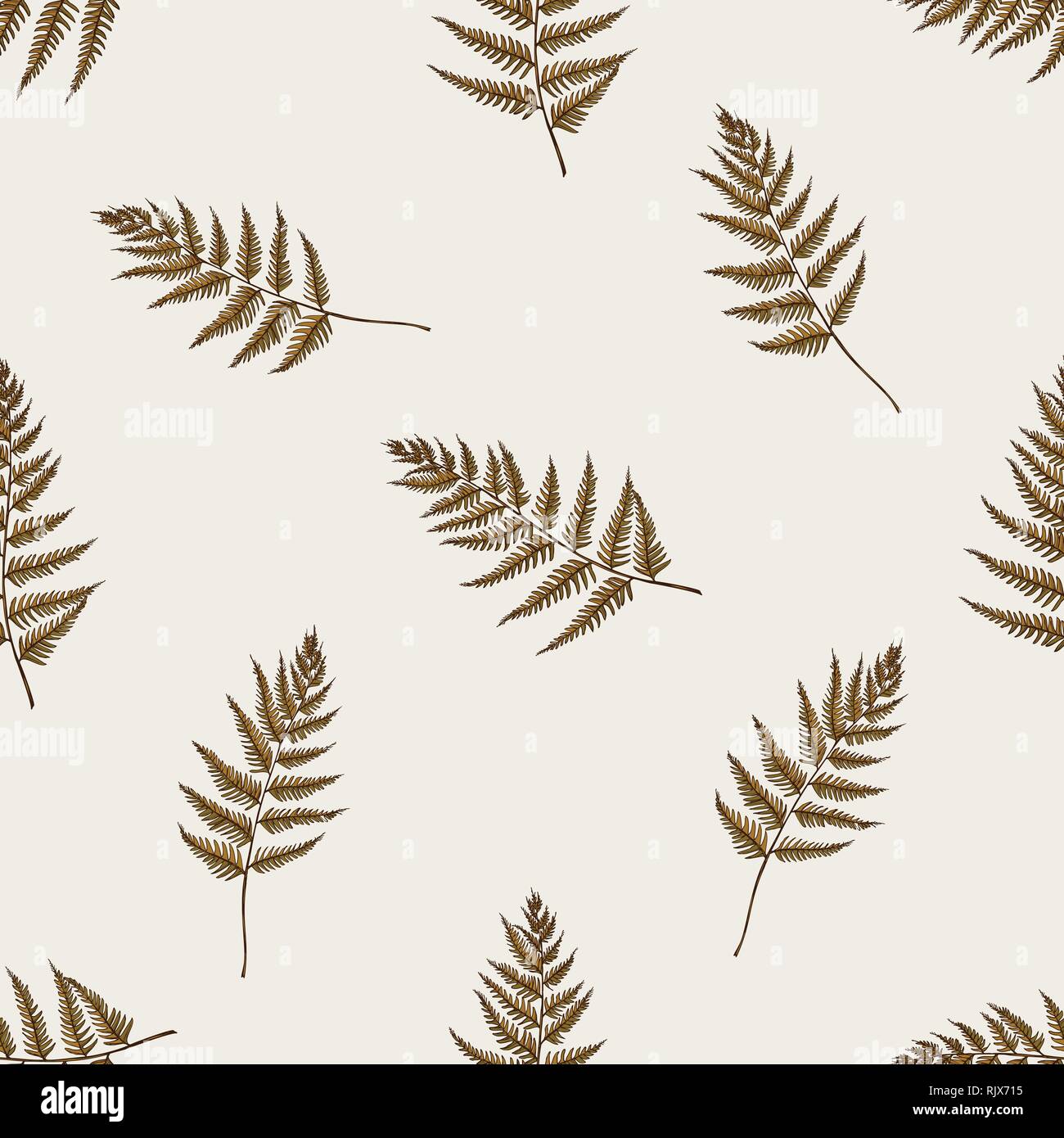 Fern sketch Stock Vector Images - Alamy