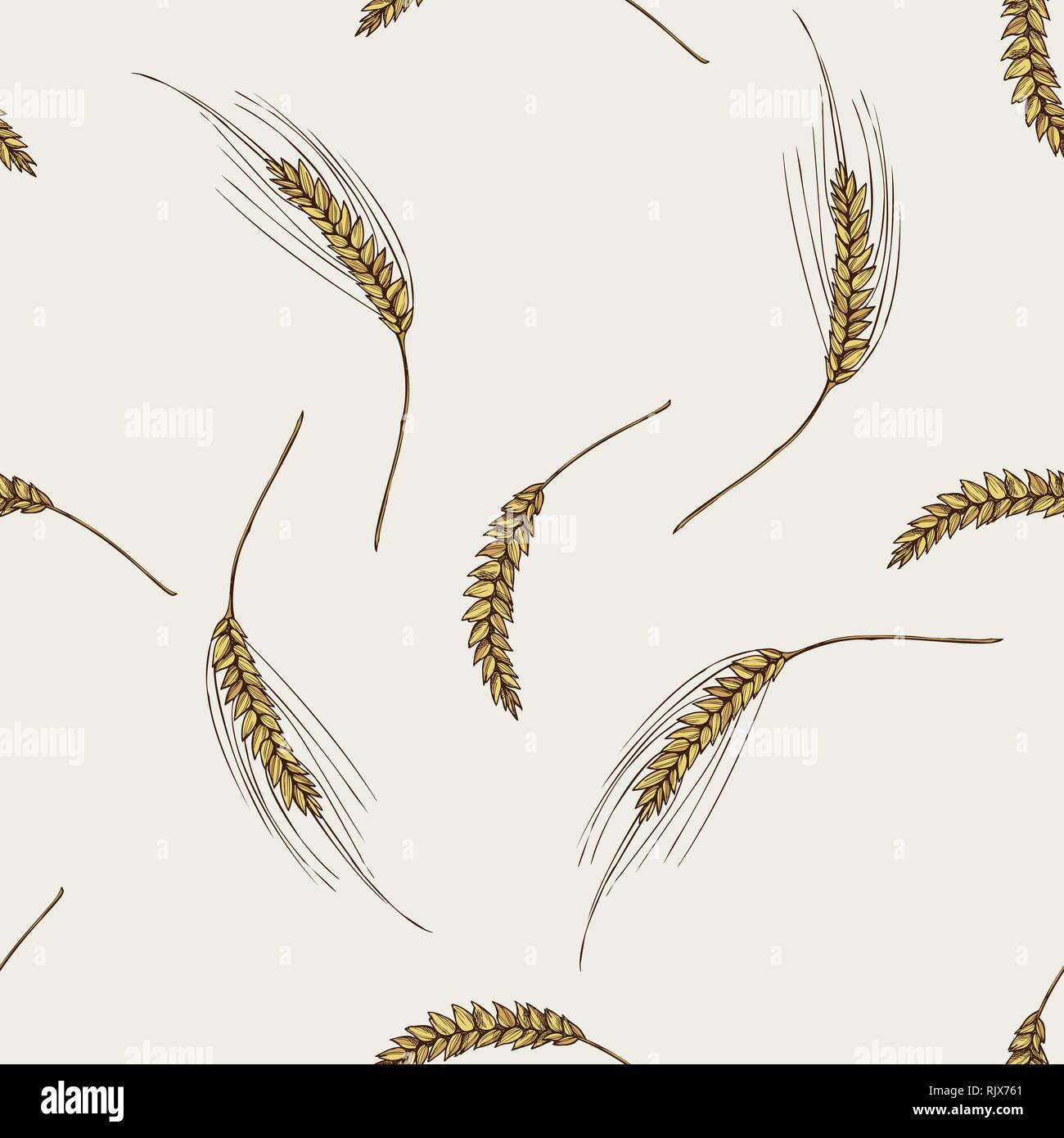 Color image food grain Stock Vector Images - Alamy