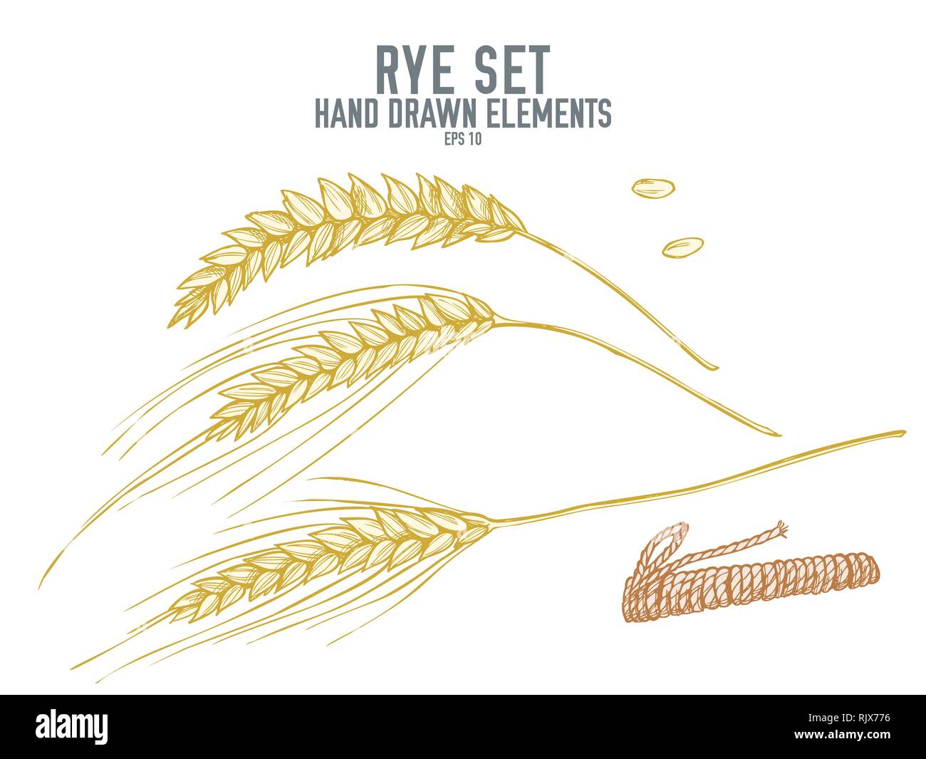 Vector collection of hand drawn pastel rye Stock Vector Image & Art - Alamy