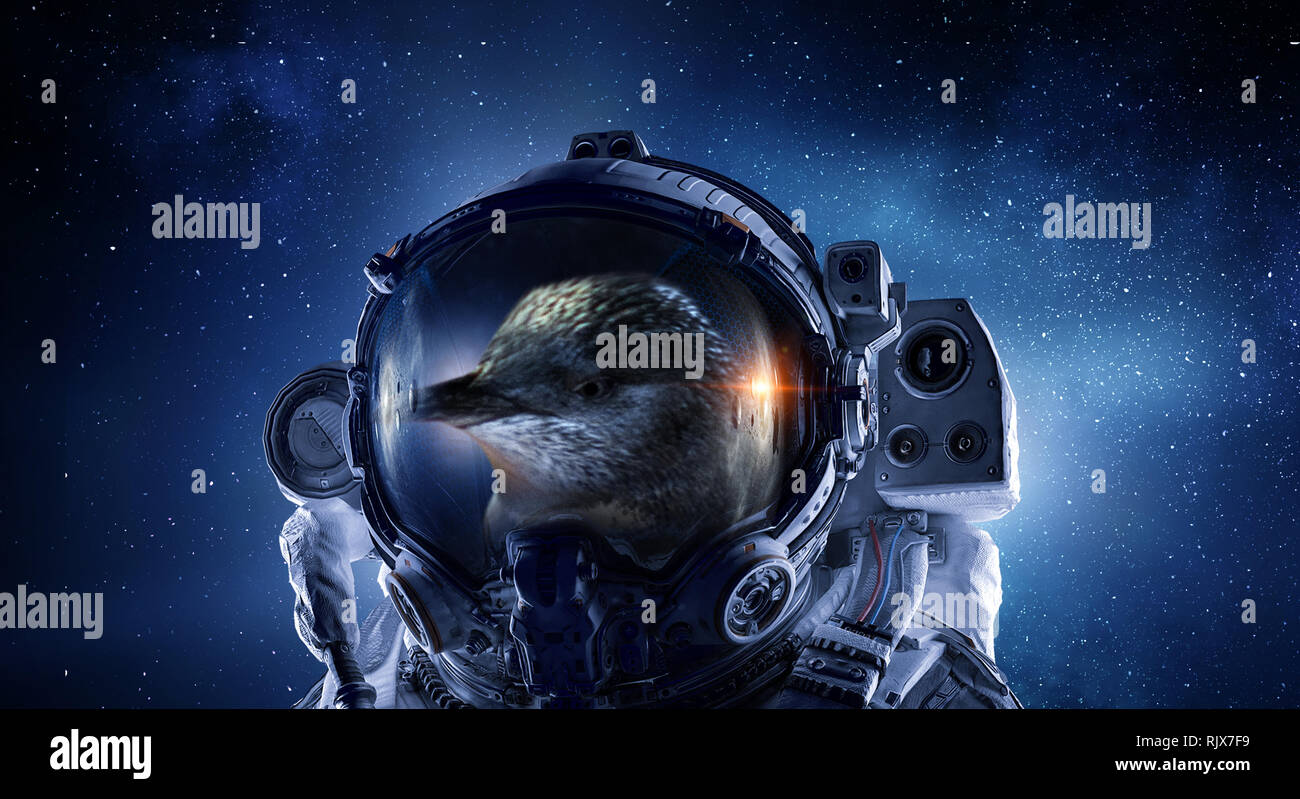 Astronaut bird wearing space suit against starry sky. Mixed media Stock ...