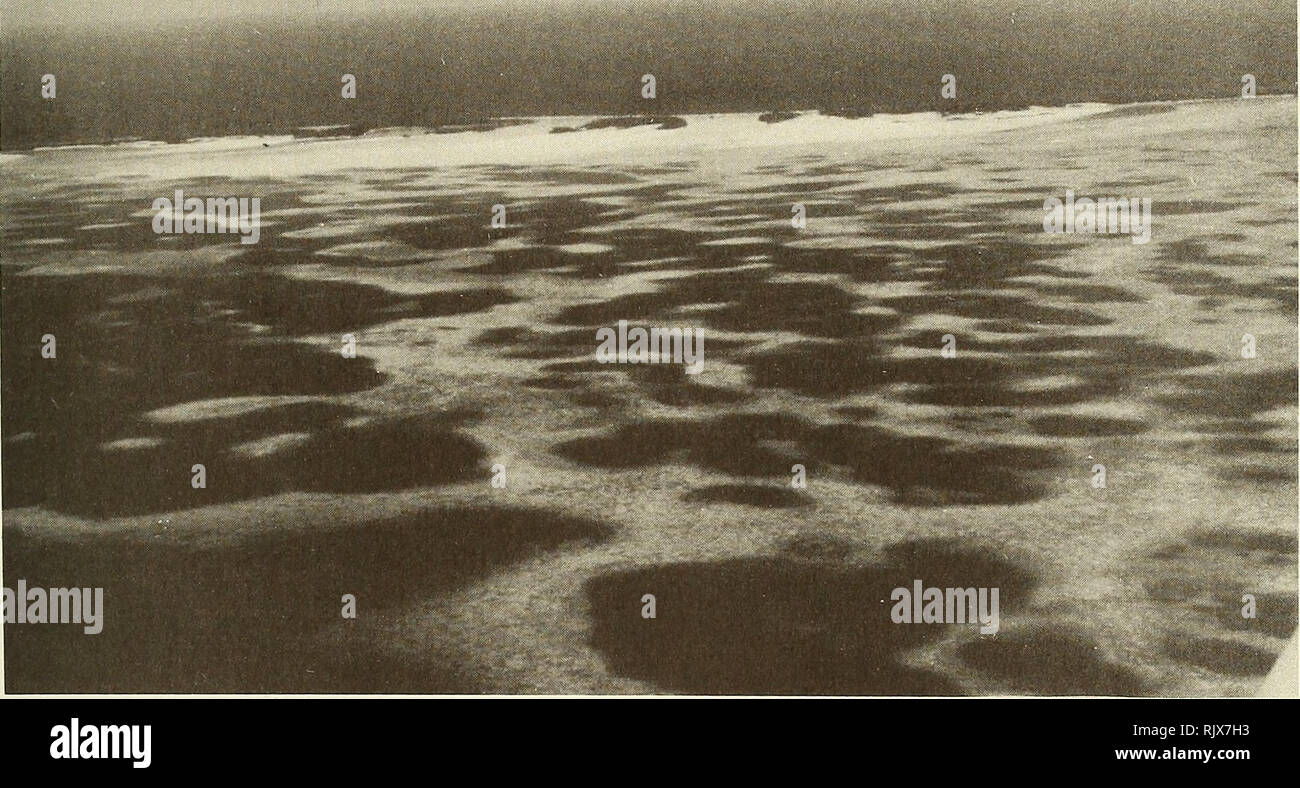 . Atoll research bulletin. Coral reefs and islands; Marine biology ...