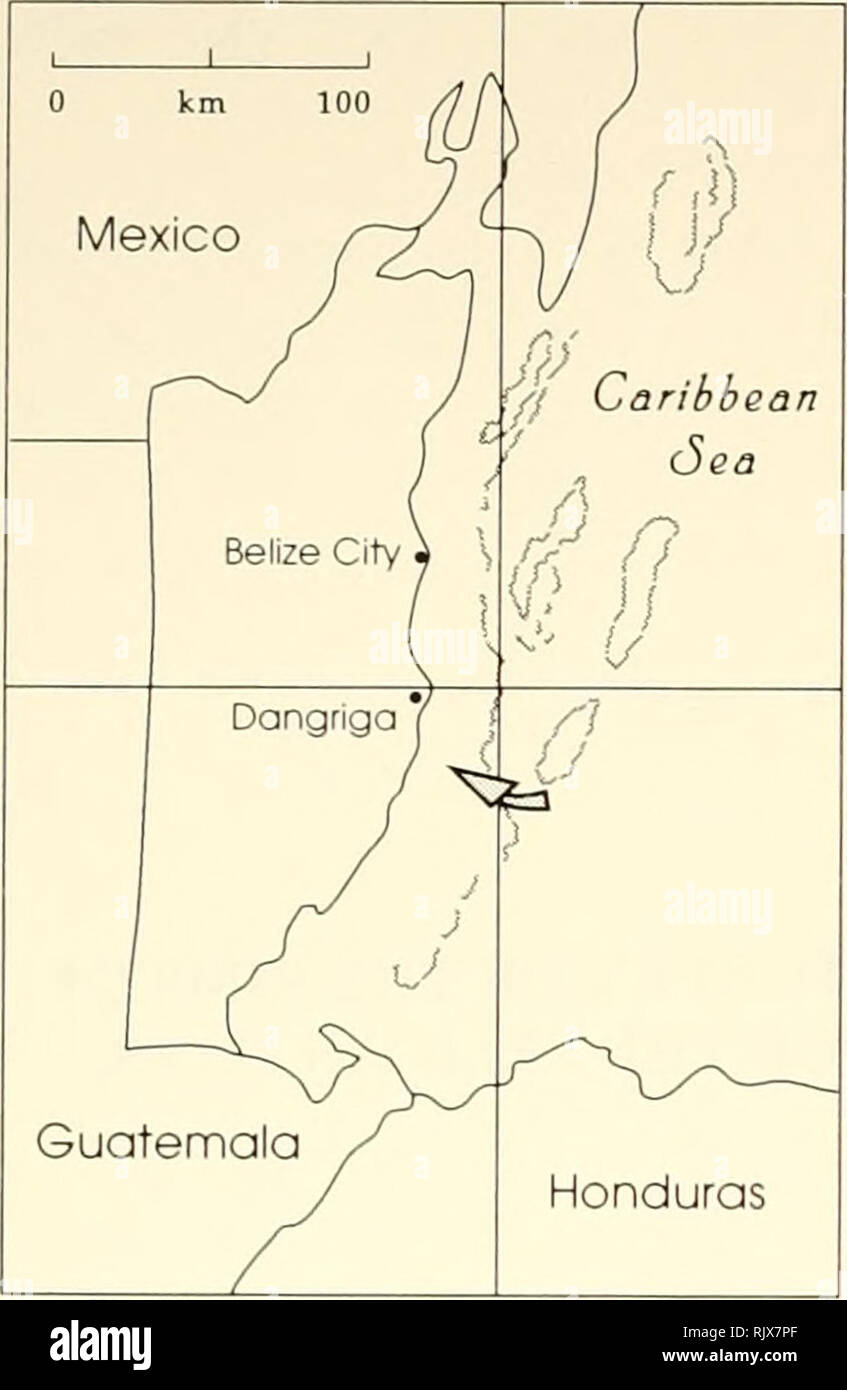 Pelican island map hi-res stock photography and images - Alamy
