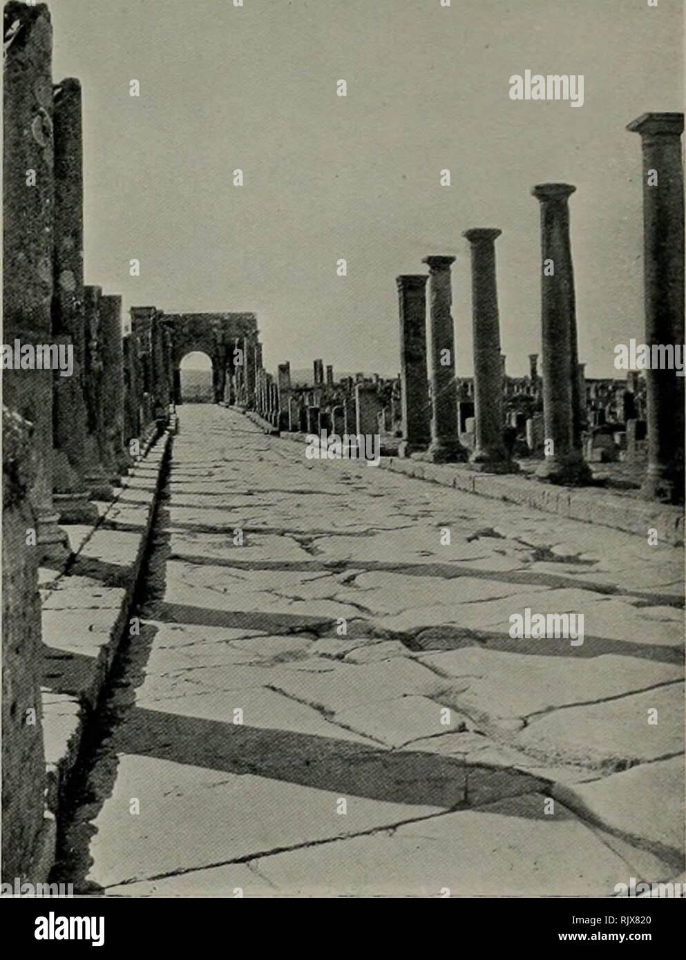 "The grandeur that was Rome; a survey of Roman culture and civilisation ...