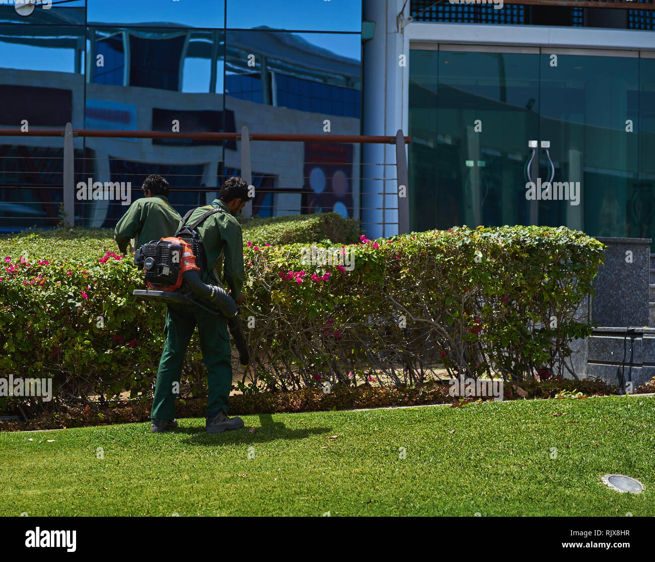 Male worker from cleaning service hi-res stock photography and images ...