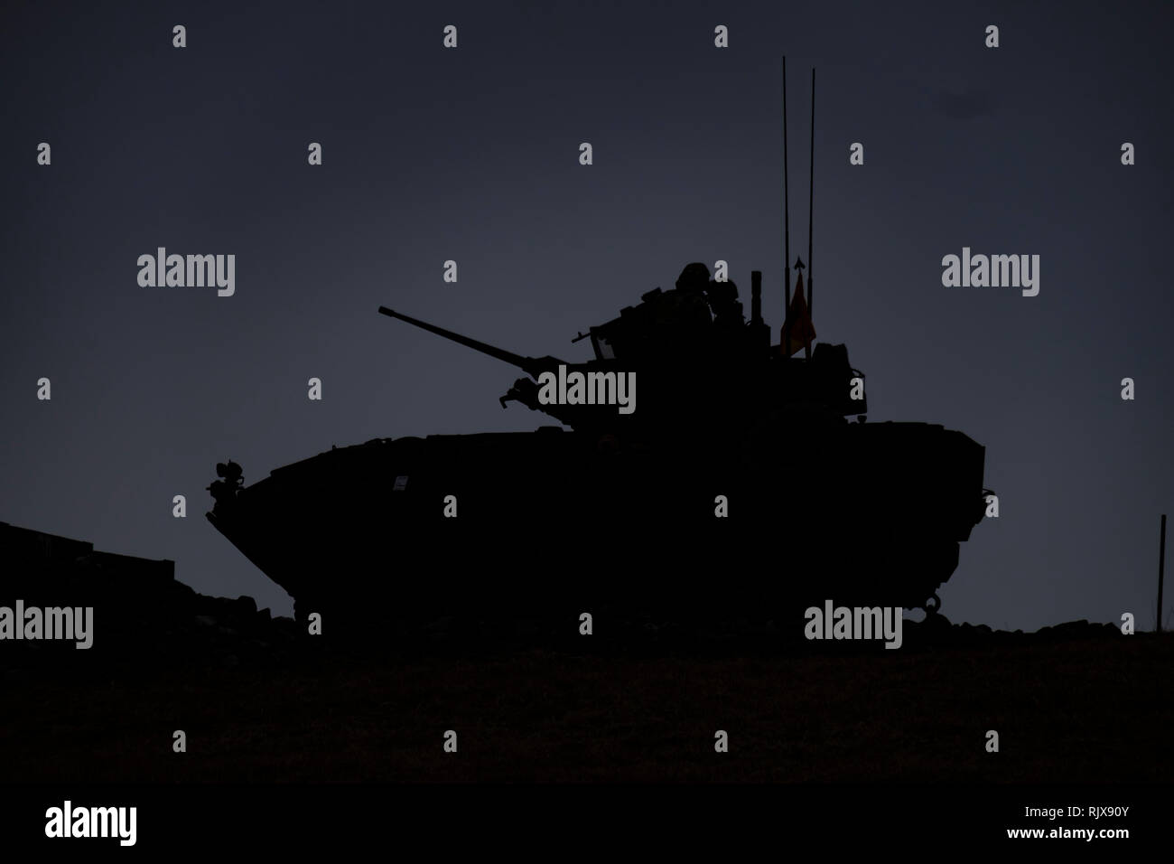 25mm Bushmasters mounted on the Light Armored Vehicle-25 (LAV-25) fired ...