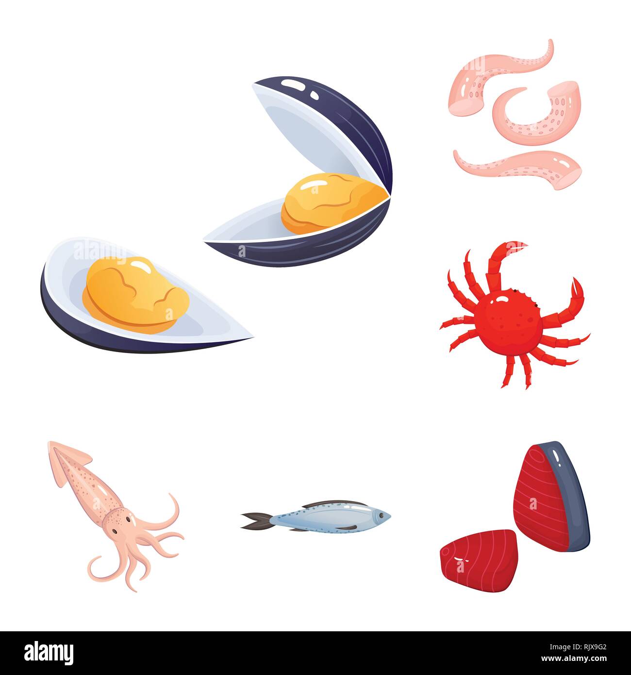 mussel,octopus,crab,salmon,clam,squid,shell,fish,tentacle,red,trout ...