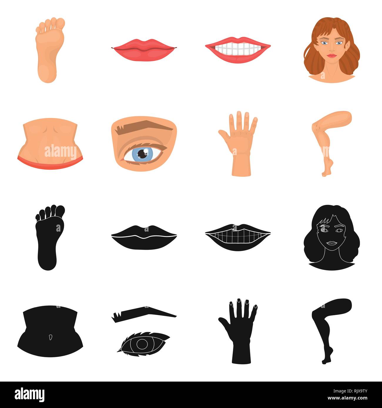 Isolated object of body and part sign. Collection of body and anatomy ...