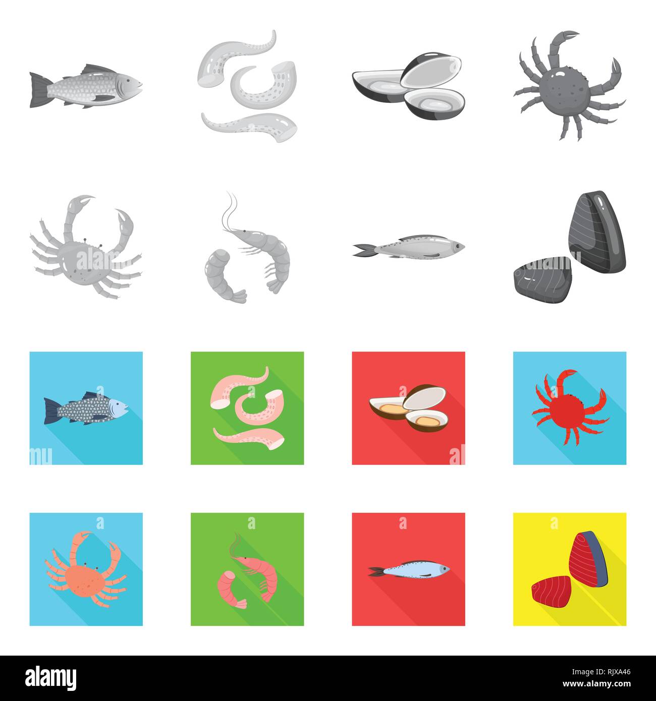 salmon,octopus,mussel,crab,shrimp,fish,squid,jelly,shell,prawn,trout ...