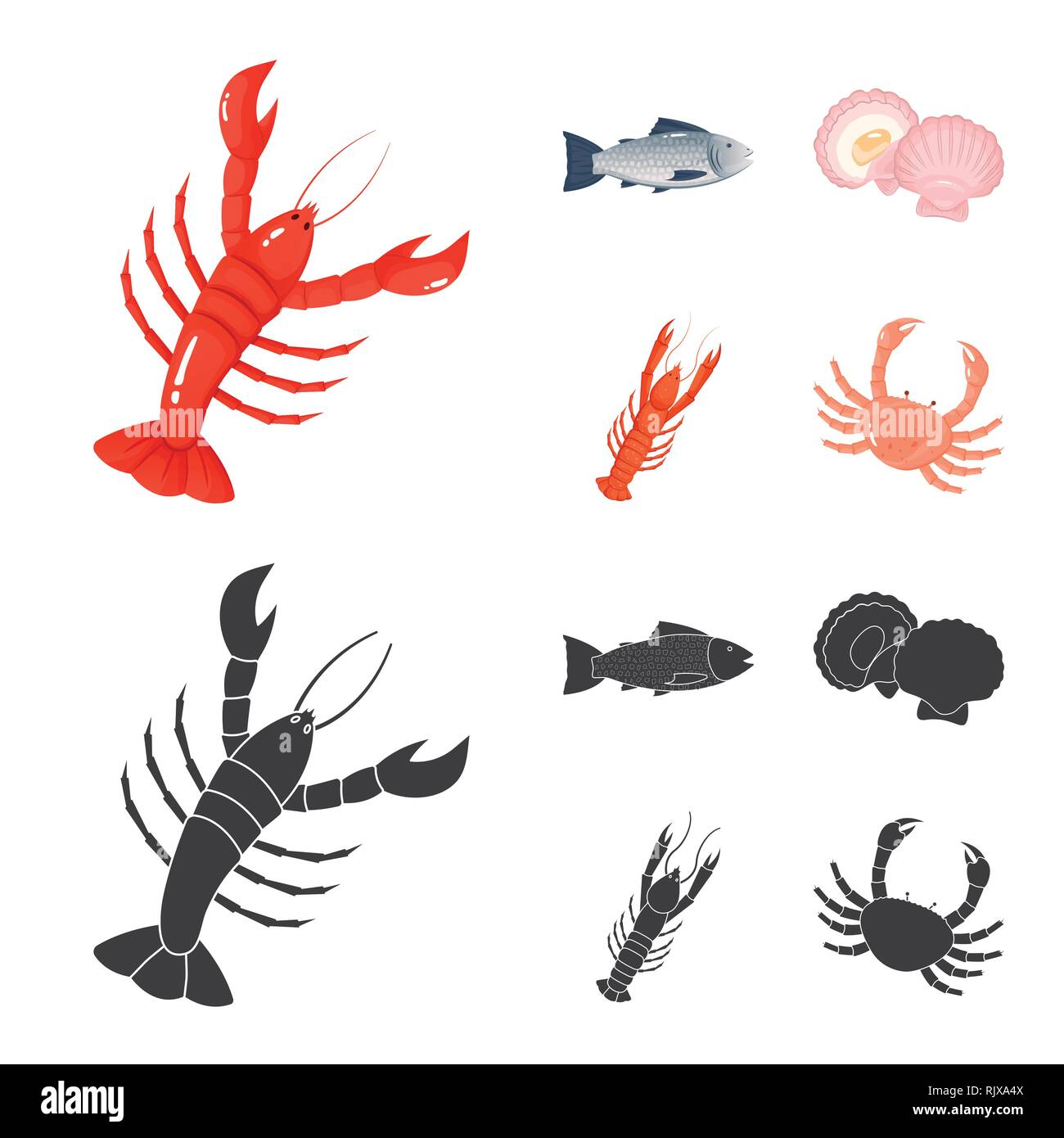 lobster,salmon,jellyfish,crab,crayfish,fish,cooked,shell,meat,trout ...