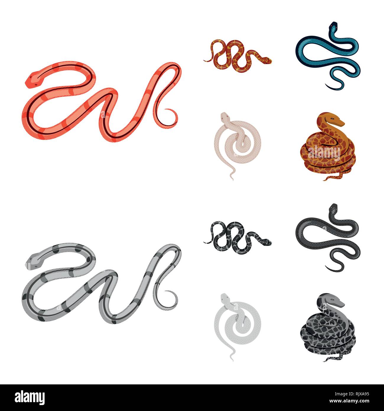 snake,amphibian,viper,tail,wild,anaconda,white,python,spiral,tropics ...