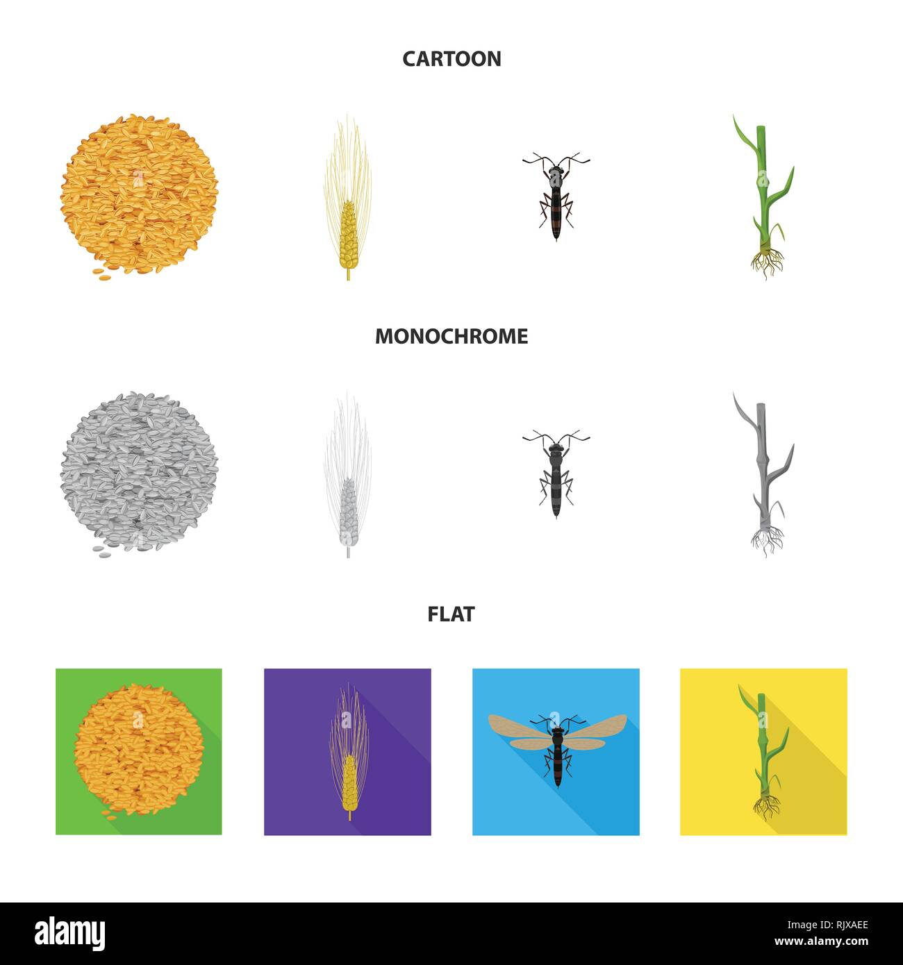 barley,fly,stem,seeds,insect,root,crop,winter,pest,bread,spring,control ...